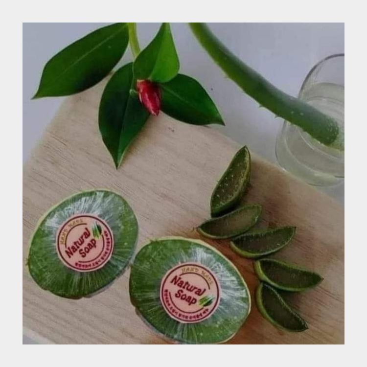 အဝတ်အထည်နှင့် အဆင်တန်ဆာများ - aloe natural handmade soap 3 in 1(shampoo ...